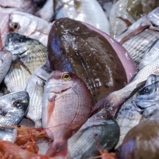 3Kg de poisson Chic & Surprise