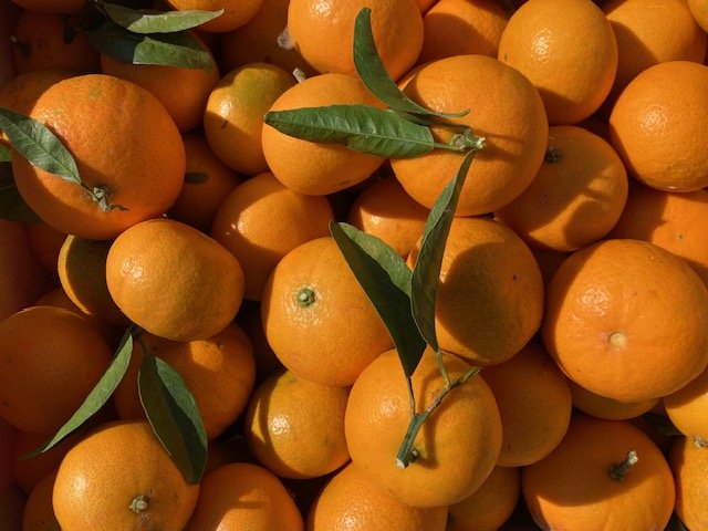 Mandarine de Corse - 5kg