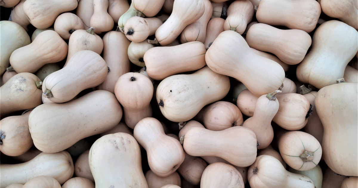 BUTTERNUT BIO - 1KG