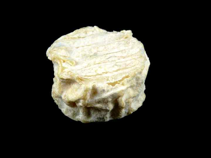 Lot fromage de chèvre fermier Mimi entre deux par 5