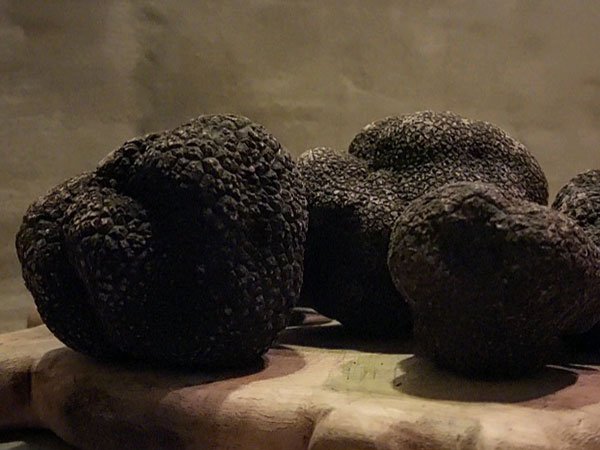 Truffe Brumale - 50g