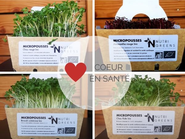 Micro pousses Pack Coeur en santé (brocoli, chou rouge, Kale, Amaranthe ...