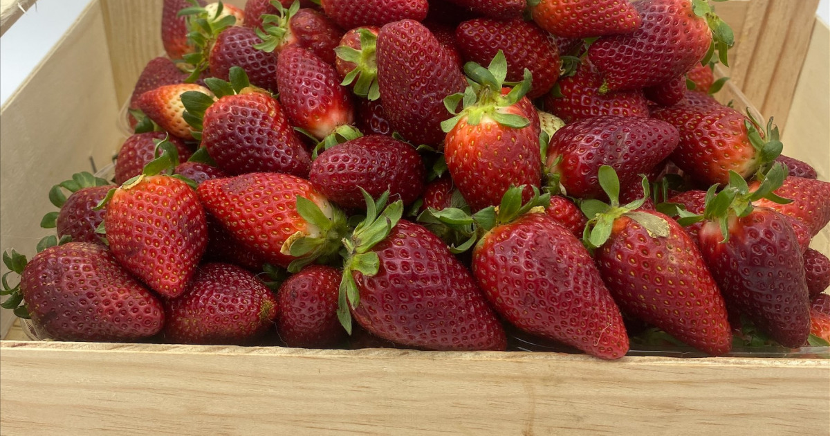 Fraises - 1 Kg