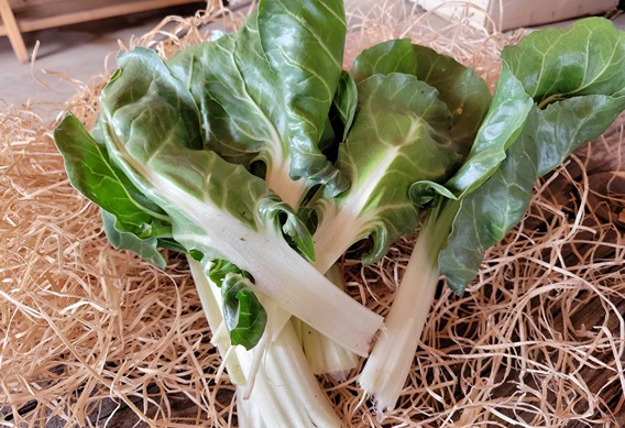 Feuilles de Blette Bio - 500 g