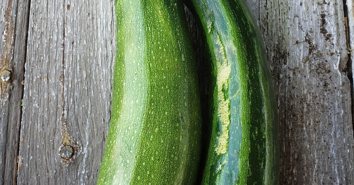 courgettes mixte-verte et jaunes-bio-1kg