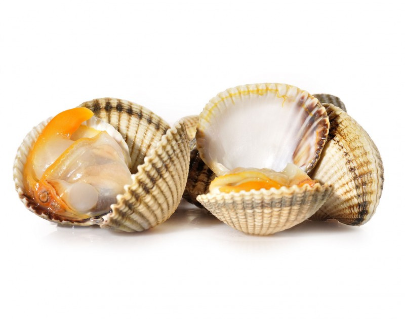 Coques De Bretagne - Lot De 1kg