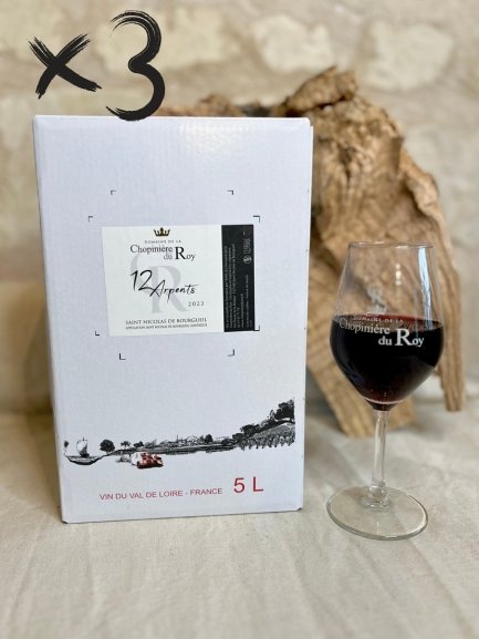 Lot de 3 BIB de vin rouge 2024 Saint Nicolas de Bourgueil 5 Litres