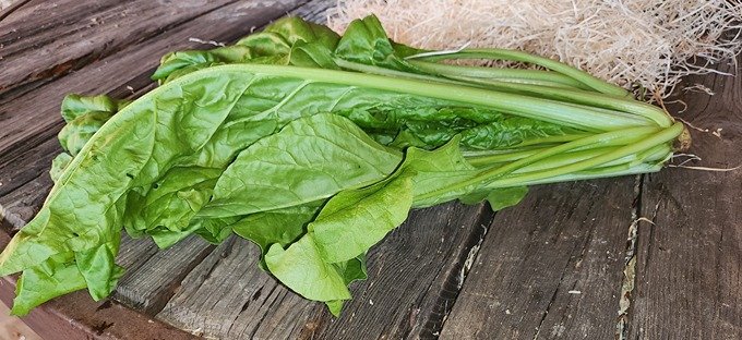 Feuilles de Blette Bio - 1 kg