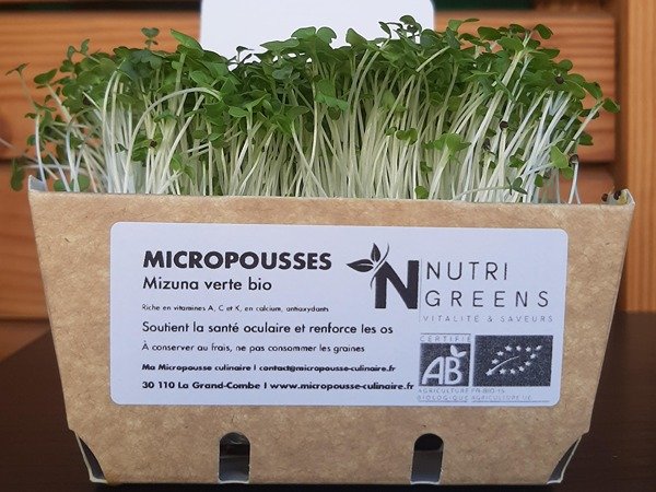 Micro-pousses de moutarde blanche Bio 4 barquettes