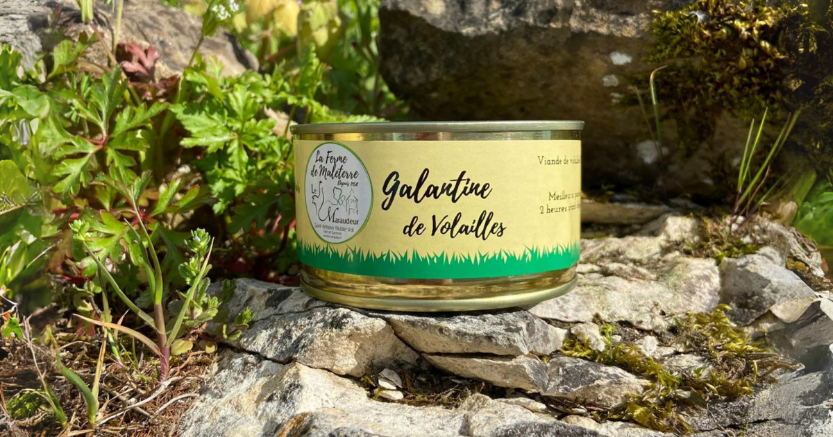 Boite de Galantine de Volailles