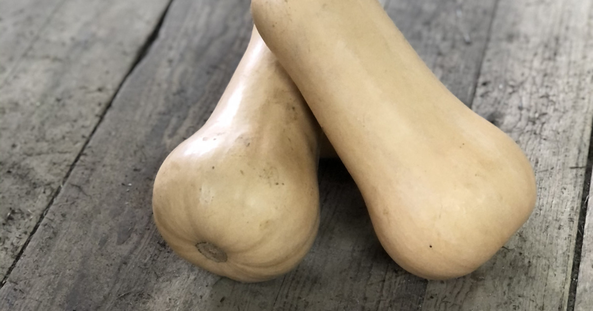 Butternut BIO 5kg