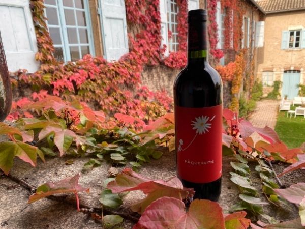 Fleurie AOC, Pâquerette 2018, le Fleurie sur le Fruit d'Alexandra - Bio ...
