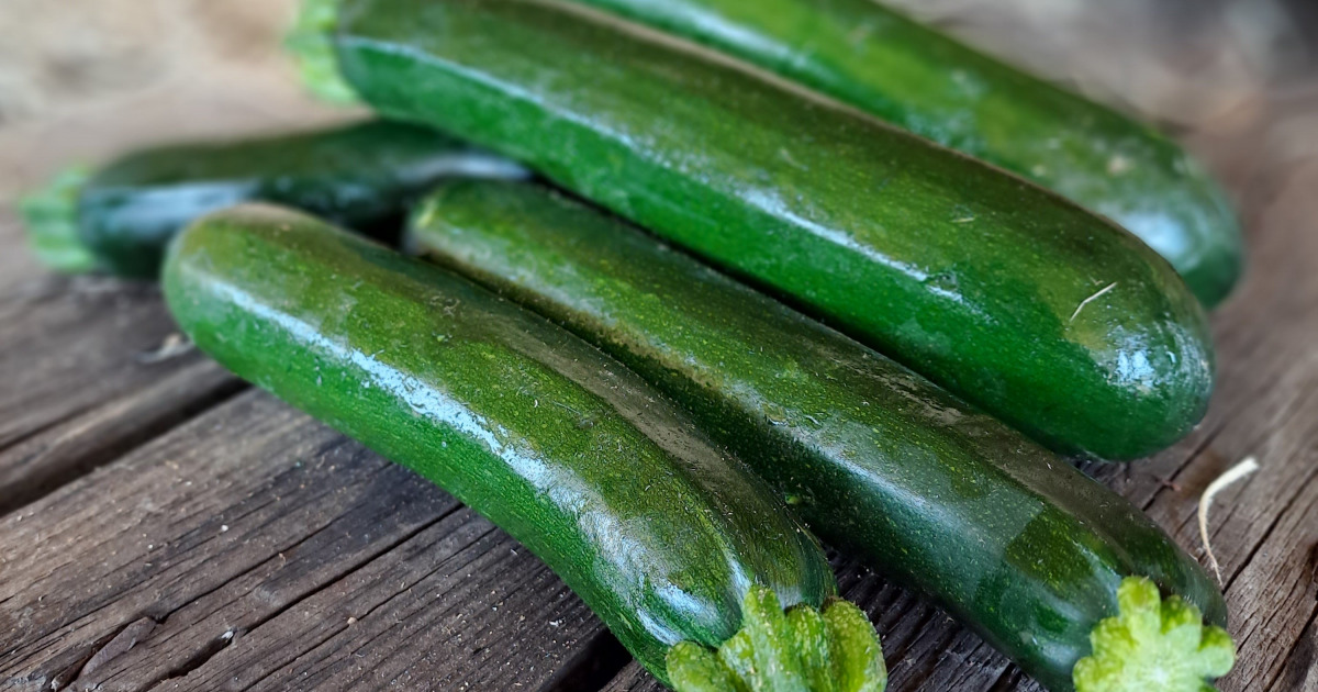 Courgette longue verte Bio - 500 g
