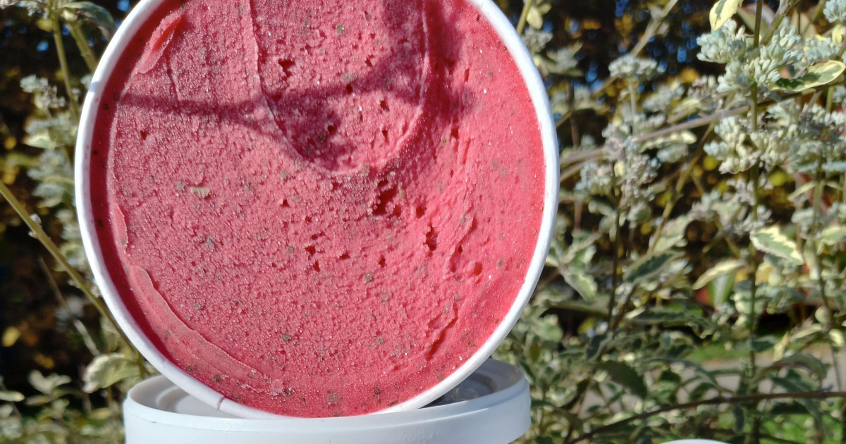 Sorbet Groseille Menthée BIO 500 ml