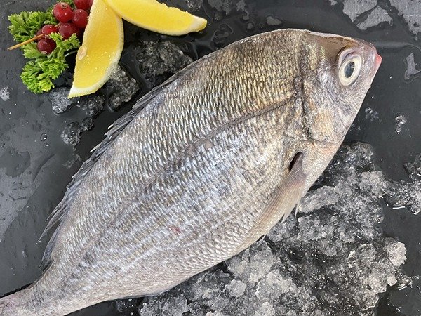 Dorade Grise écaillé vidé 300/500g en lot de 1kg