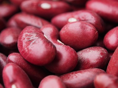 Haricot Rouge Bio [500g]