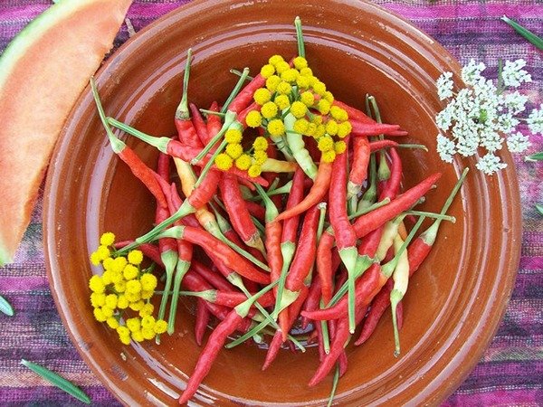 Piment frais Fiesta 110g