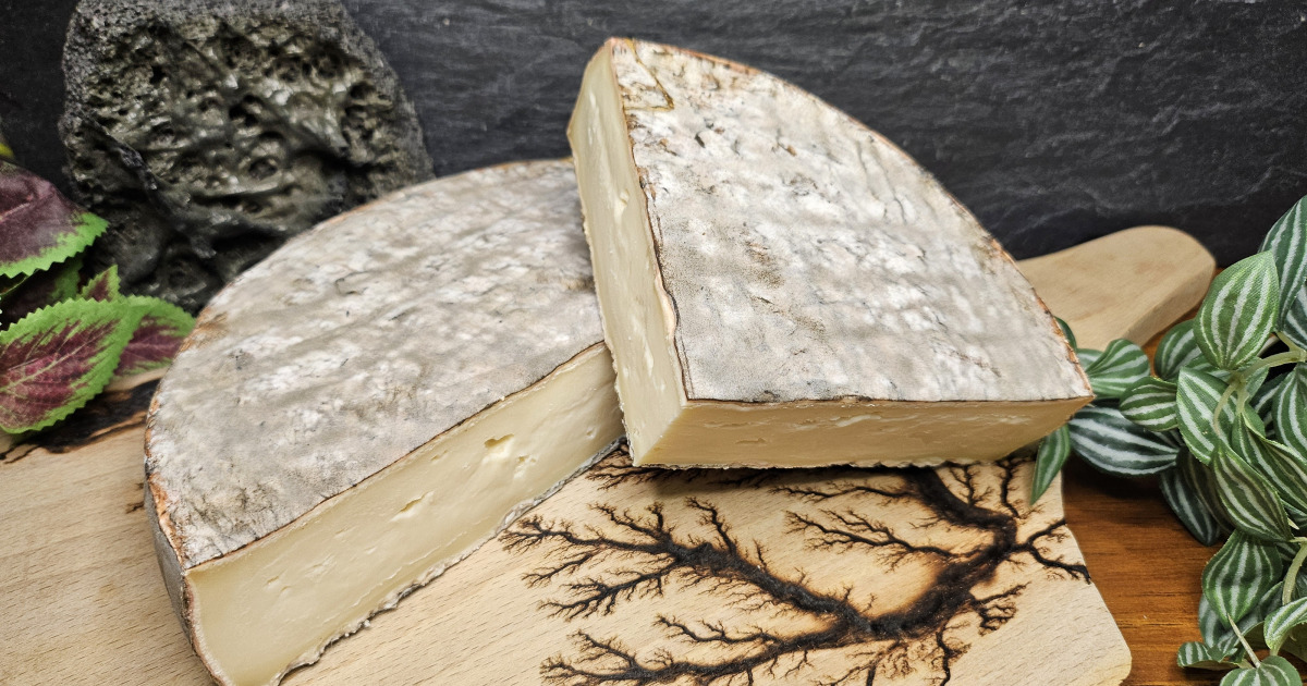 Saint Nectaire fermier AOP entier 1,6kg