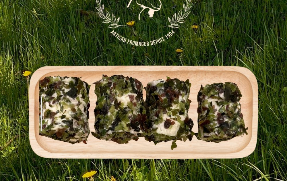 Bouchons de chèvre aux tomates et basilic