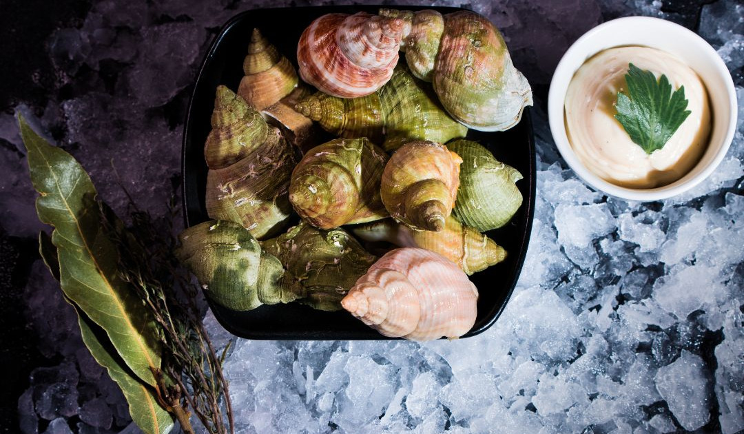 Bulots Vivants - Sachet De 1kg