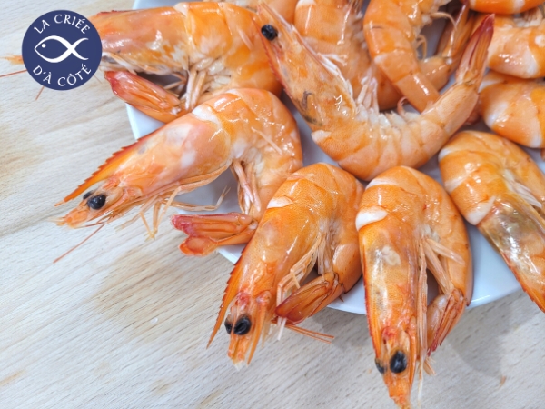 Crevettes Roses Tropicales Cuites - 1 Kg