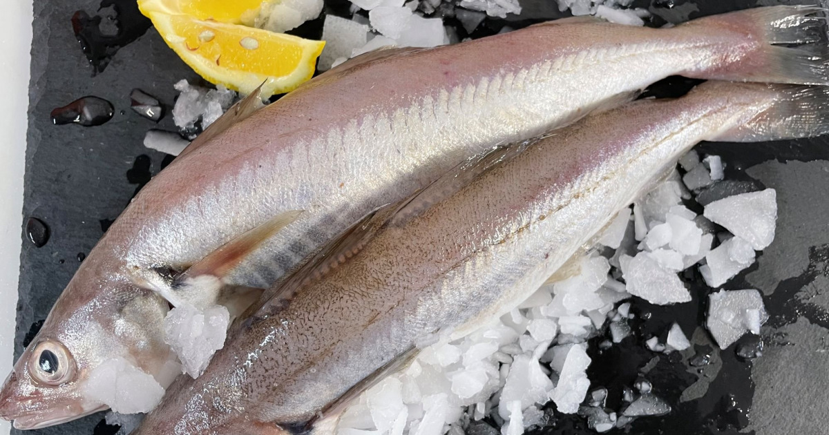 Merlan en lots de 2kg