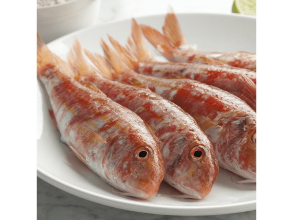 Rouget-barbet : entier vidé écaillé, lot de 500g