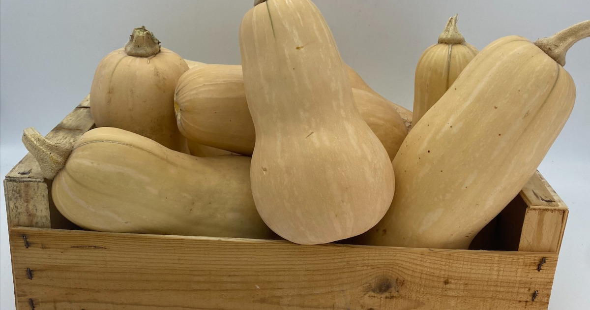 Butternut - 1kg