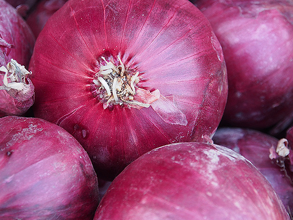 Oignon Rouge Bio [500g]