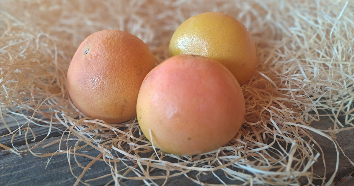 Pomelo Bio - 1 kg