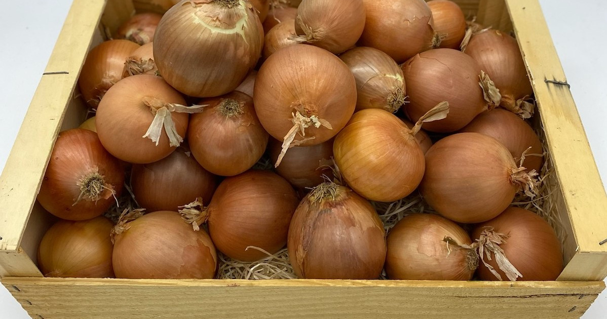 Oignon "Paille" - 1kg