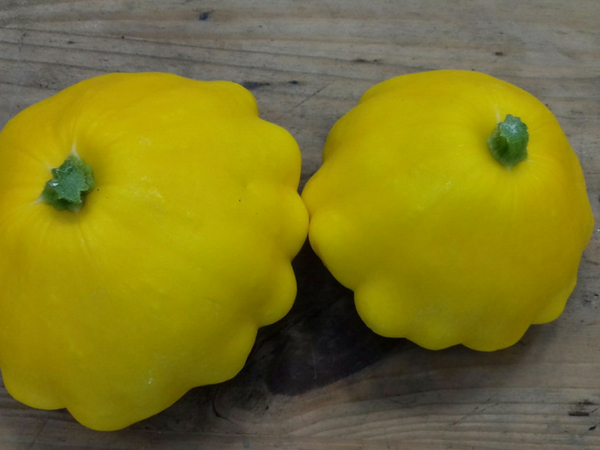 Pâtisson jaune 1 kg
