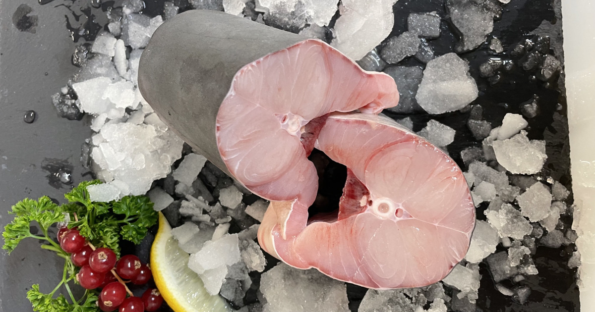 Requin HA en morceau 1kg