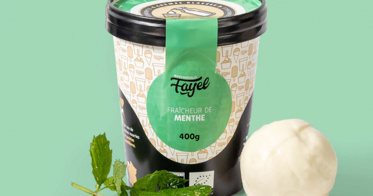 Crème Glacée Fraîcheur de Menthe - 100% Bio x4