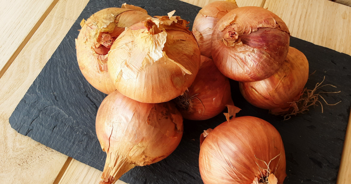 Oignons rosés de Saint-Malo - 500g - cat. II - origine France