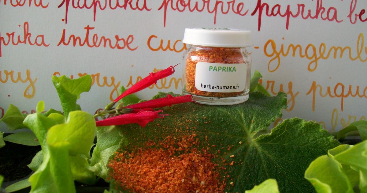 Paprika Bio Cultivé en France 3 g
