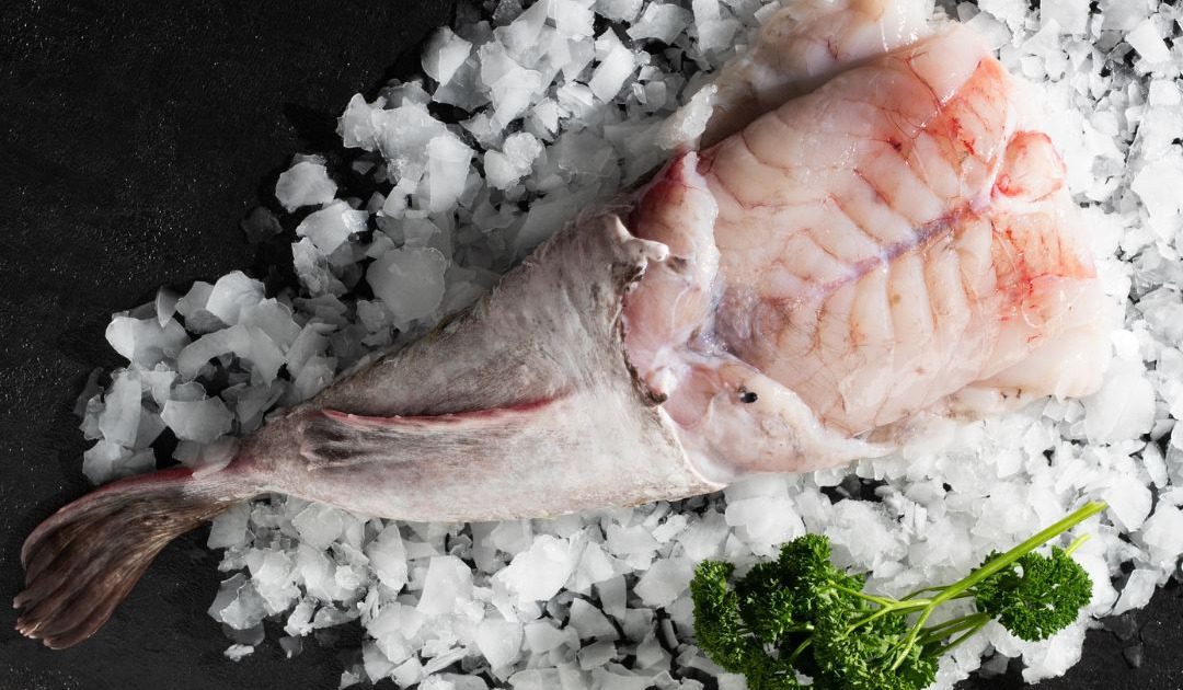 Queue De Lotte - Pièce De 2kg