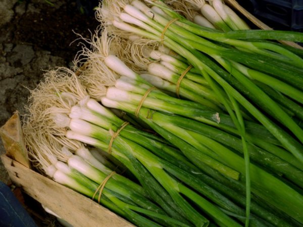 oignons bottes producteur - 300 gr