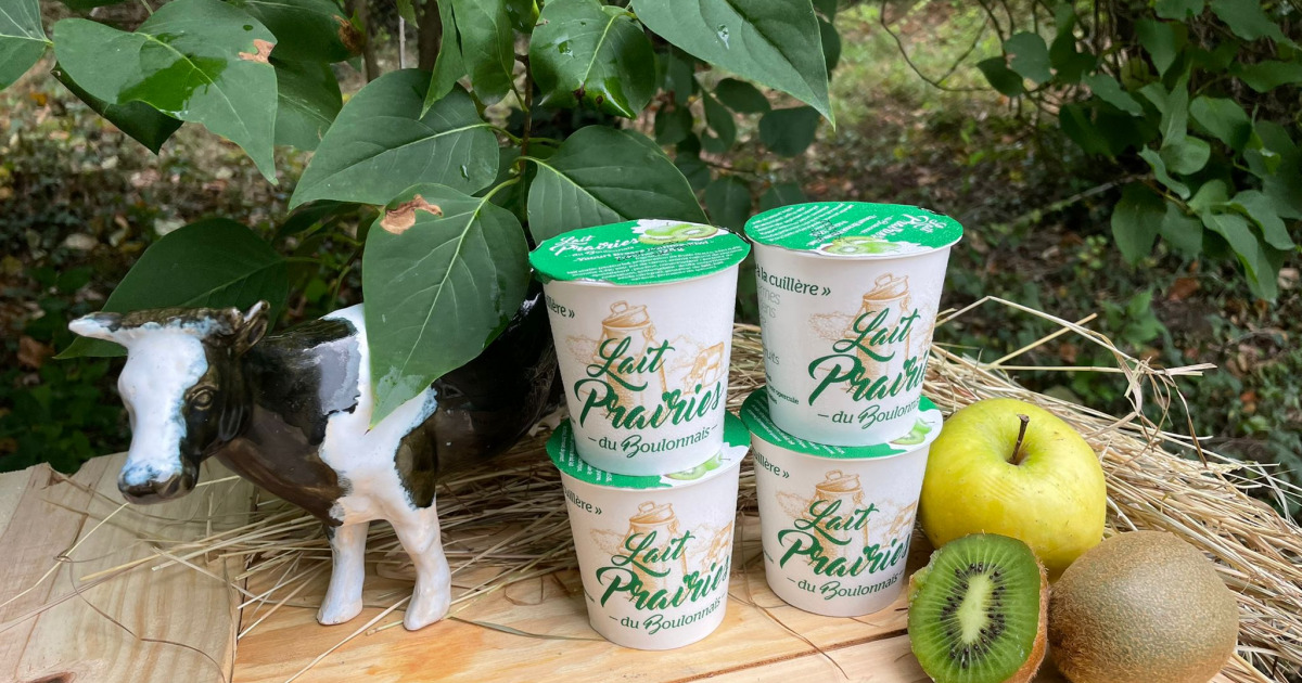 Yaourt brassé à la pomme et kiwi x4