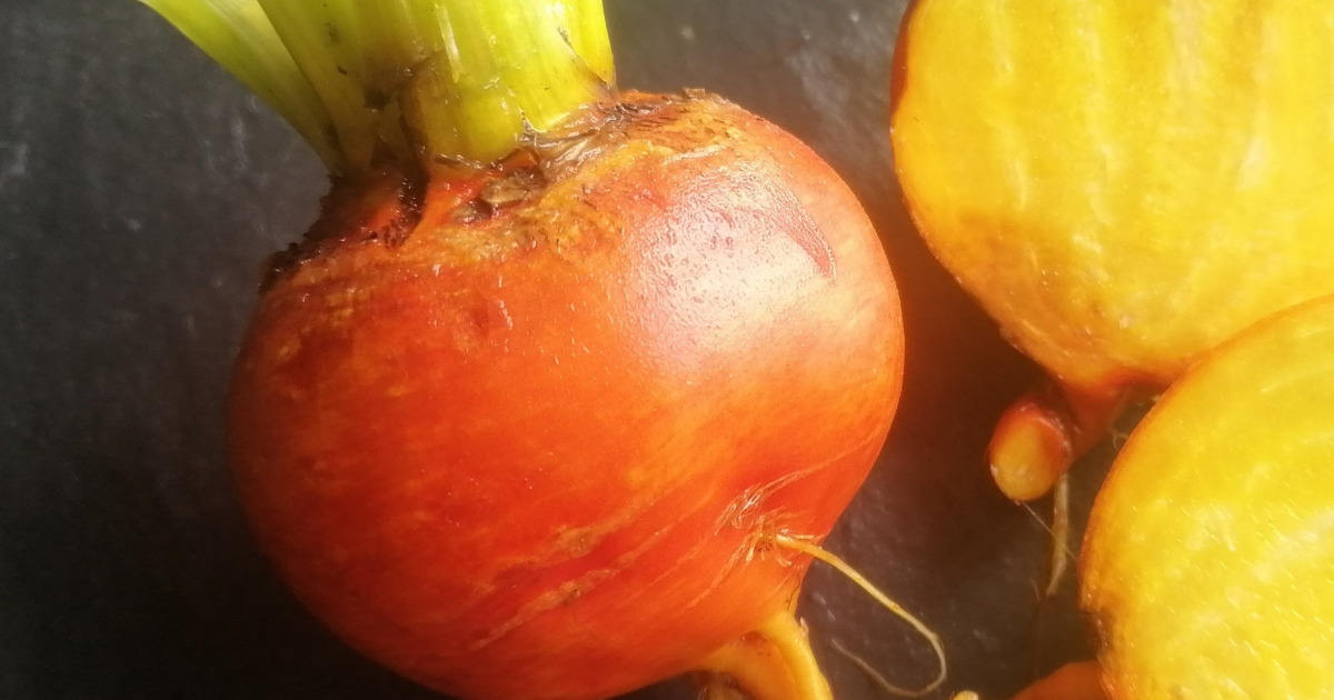 Betteraves Jaunes Bio - 3 kg