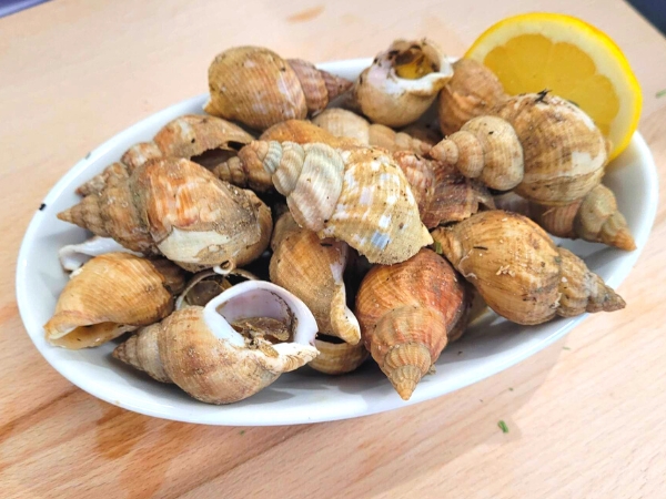 Bulots Cuits - 500 g