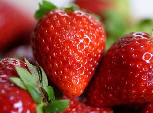 Fraises 500g x 10