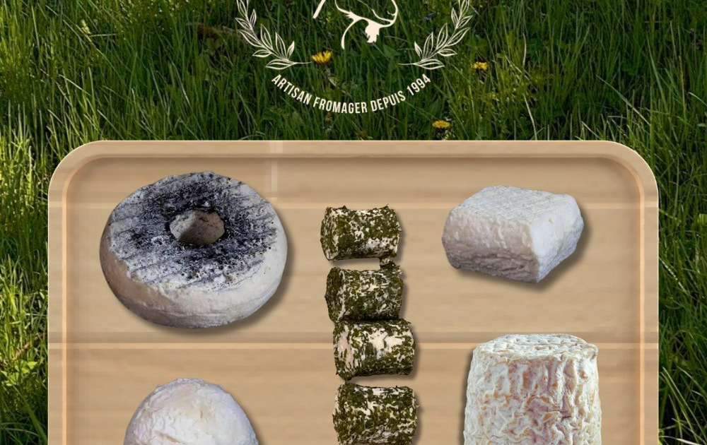 Plateau de 5 petits fromages: anneau, petit dôme, petit pavé, bouchons ...