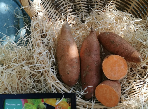 Patate douce Bio